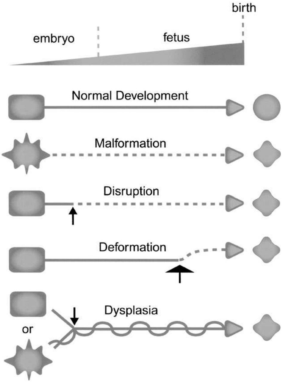 =aschematic illustration showing the various types of