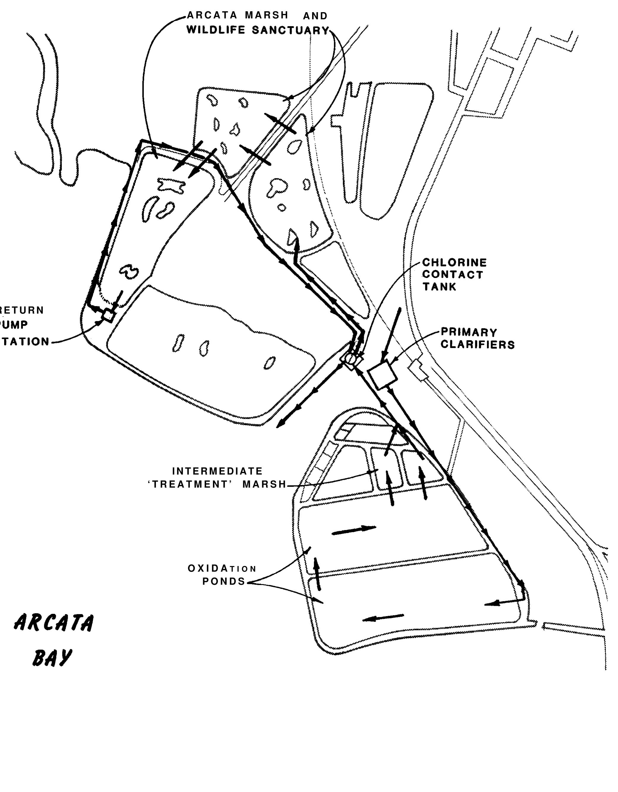 Figure 11 - Design Manual Constructed Wetlands and Aquatic