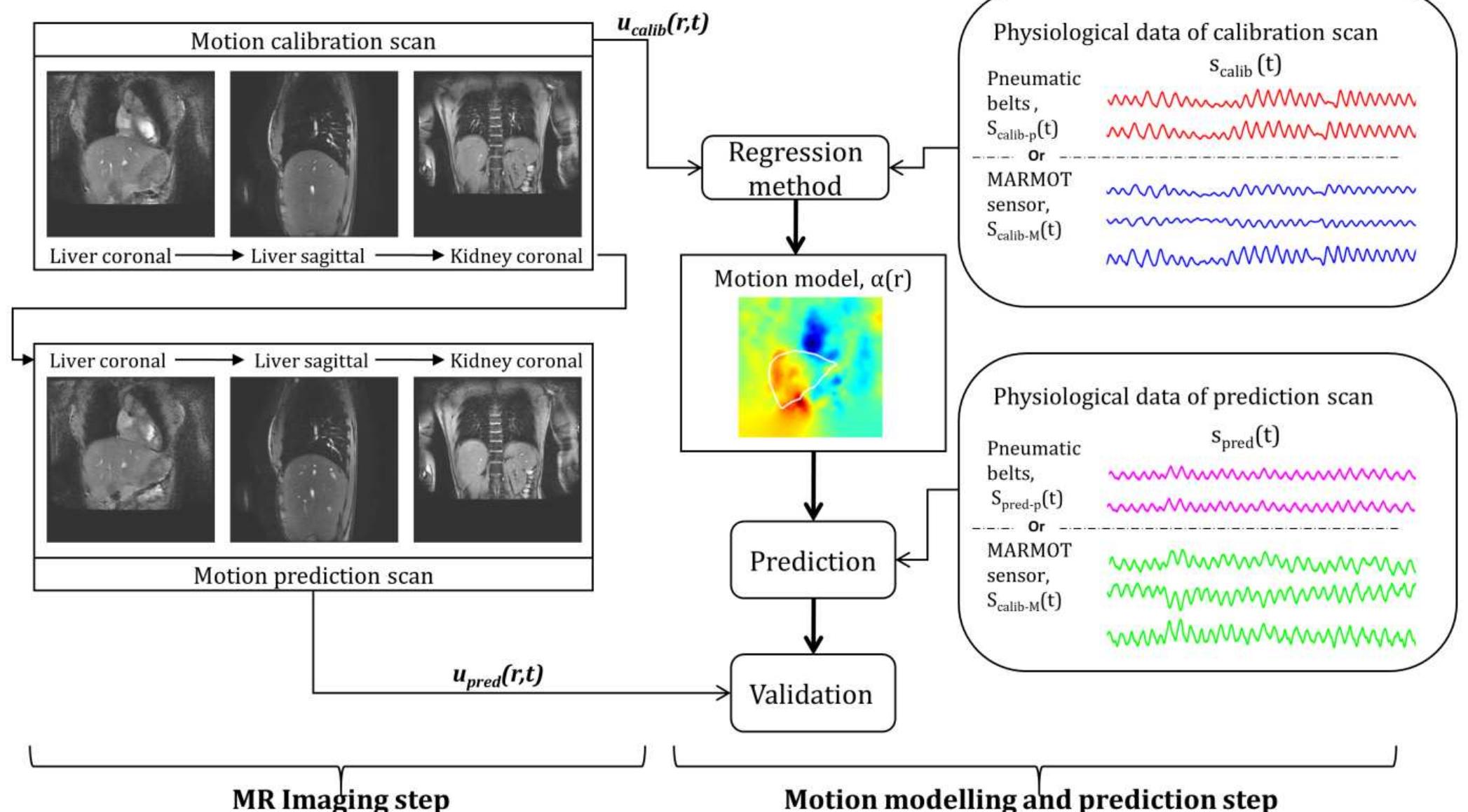 Workflow sketch of motion modelling and prediction: it is Workflow sketch of motion modelling and prediction: it is
