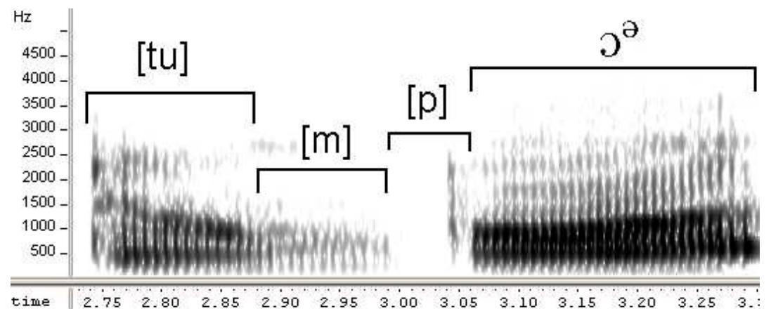 Rpa tug npua showing nasal consonant [m]; cd track 1.90