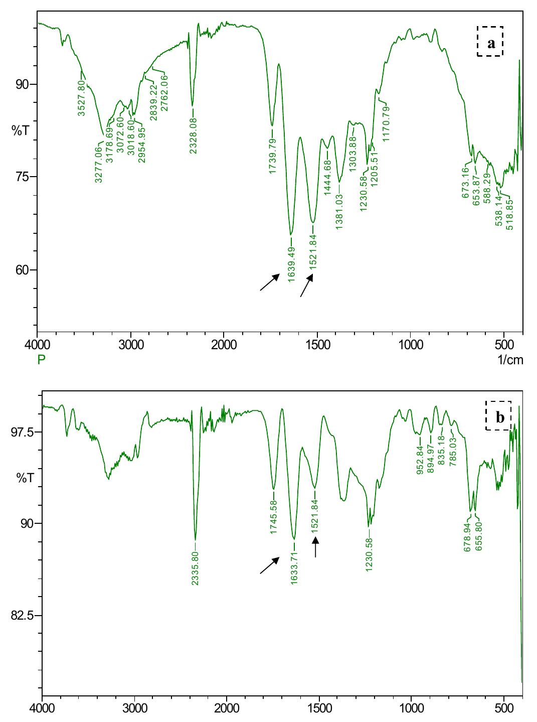 Ftir spectra of (a) native bsa (10 1m) in aqueous solution