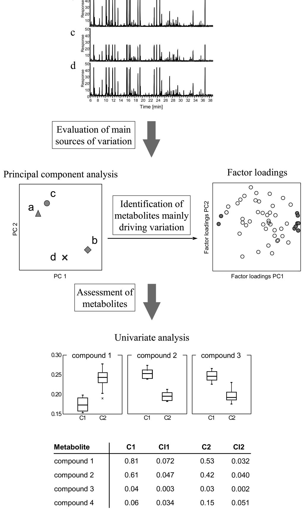 Typical workflow of capillary gas chromatography-based