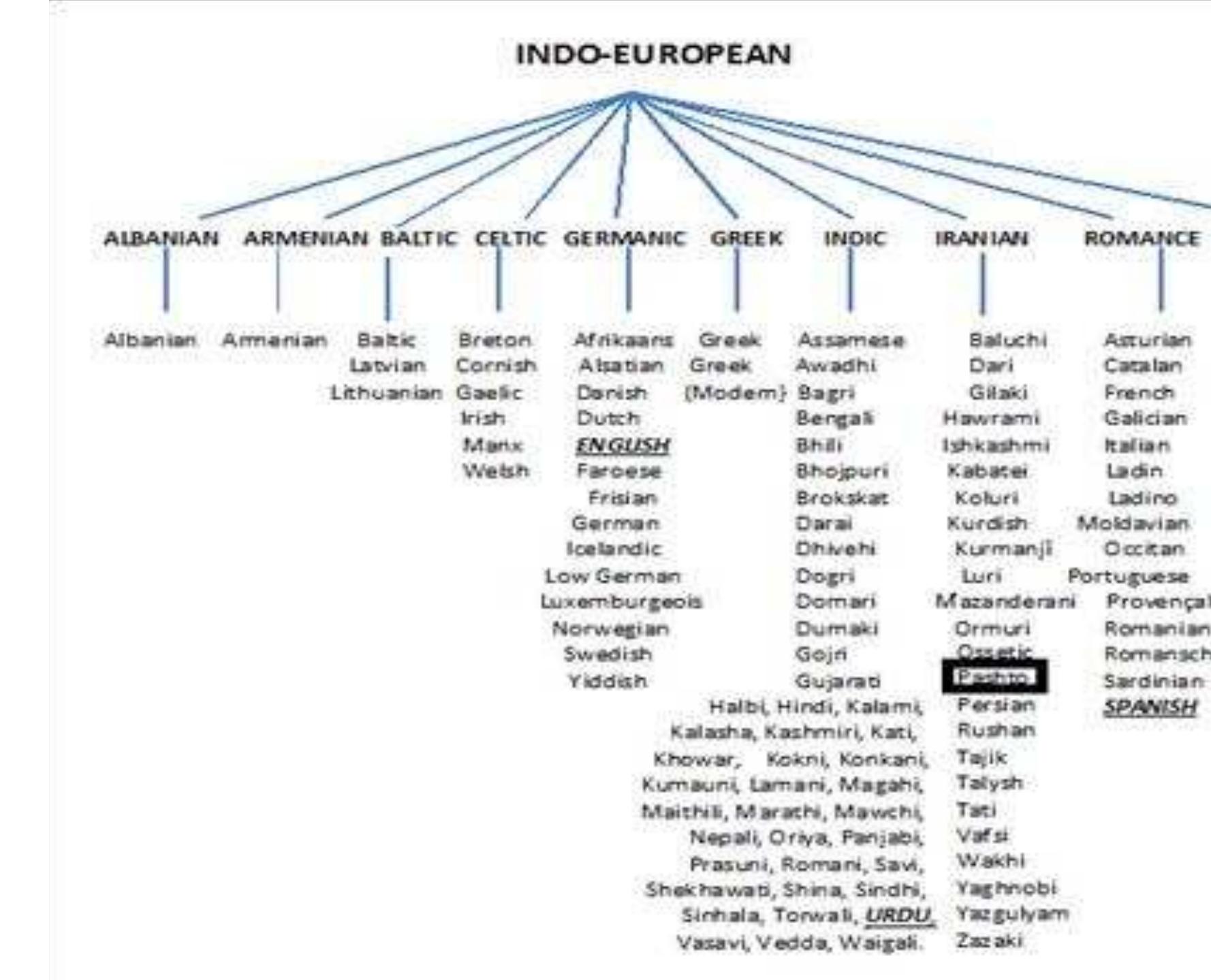Pashto within the indo-european family of languages