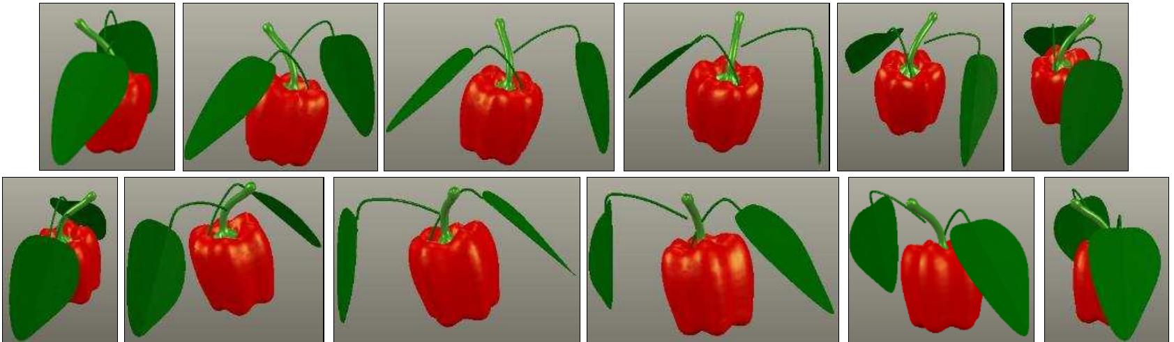 Simulated scan of a red sweet pepper fruit. camera view at