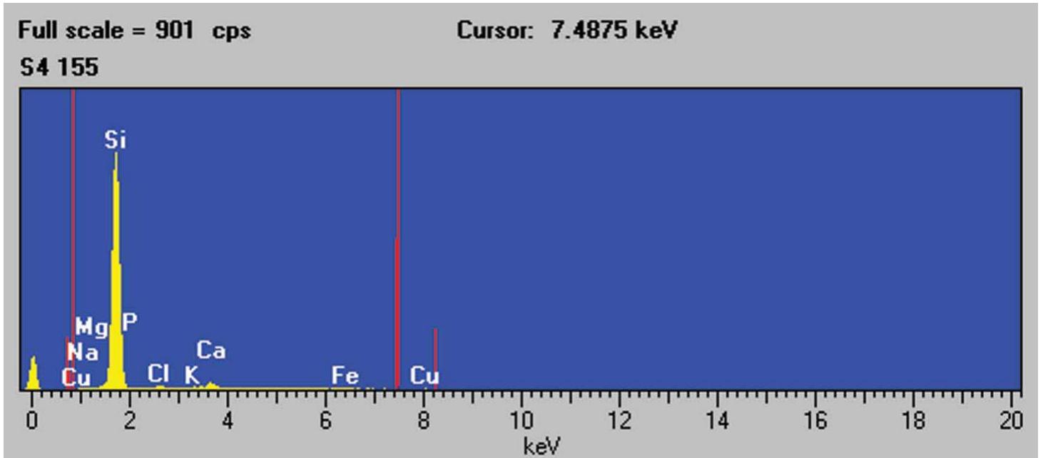 D. graph of sem-edax spectra of the rendering layer upon