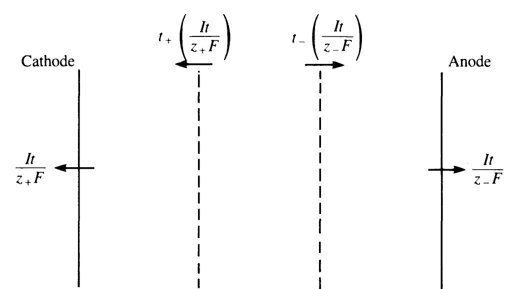 6. the hittorf method for determining transport numbers. in