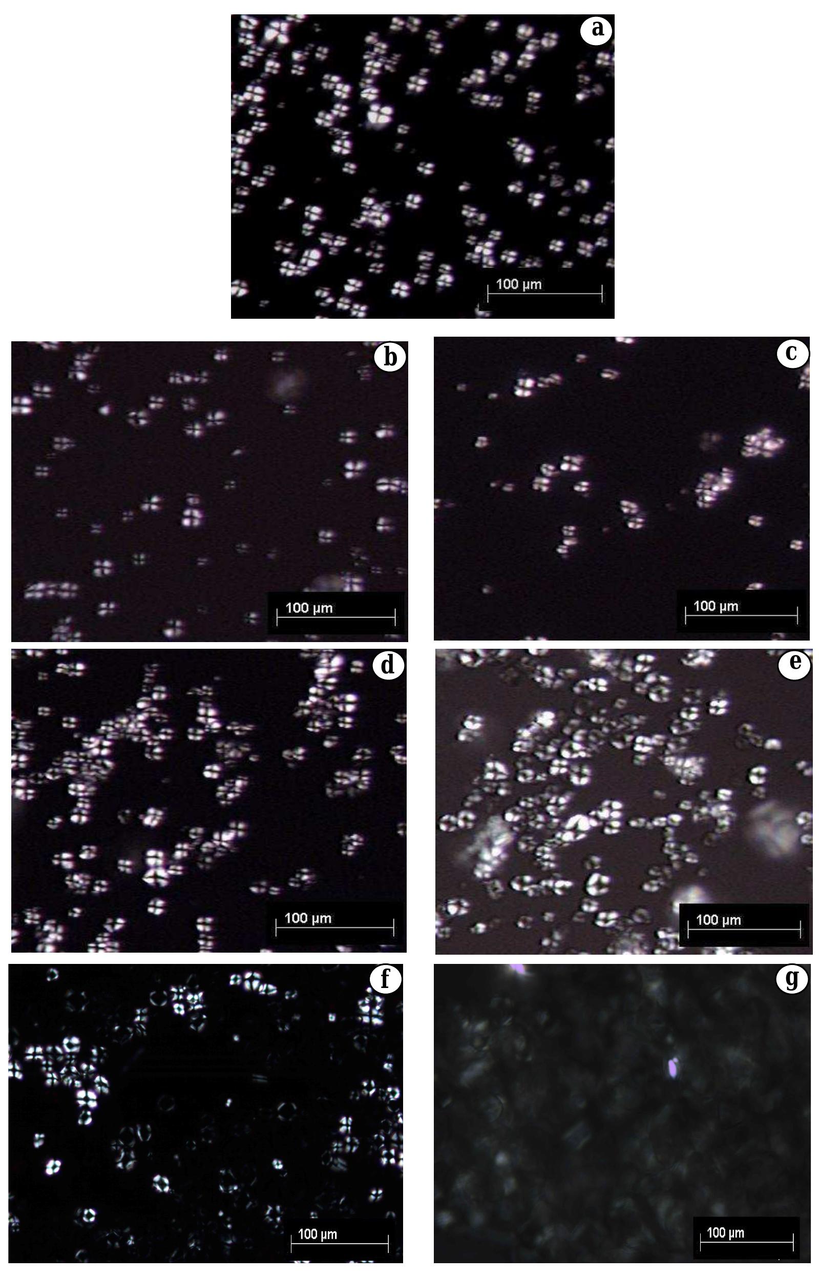 Figure 5 - Structural modifications and thermal transitions