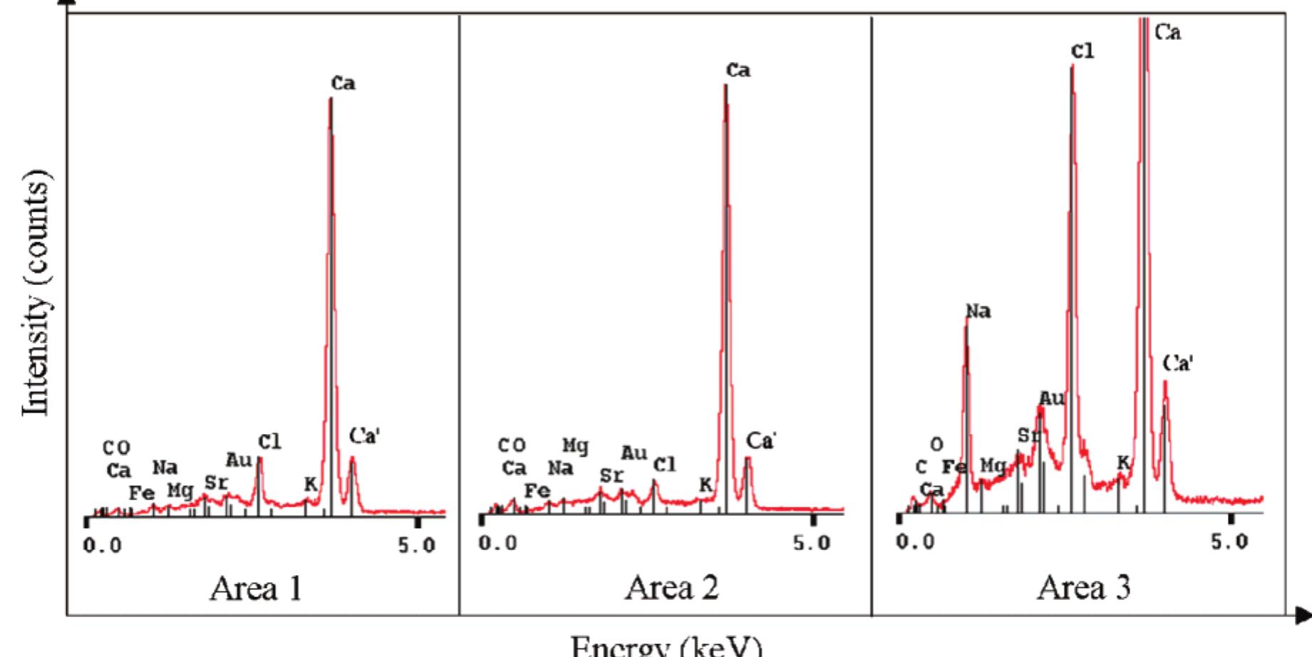 Eds spectra for the labeled areas of the sem image shown in