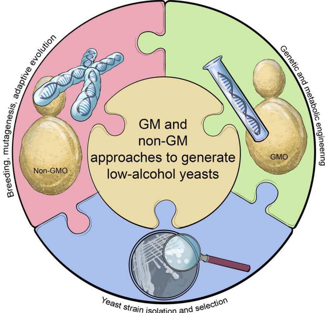 A schematic representation of approaches to generate
