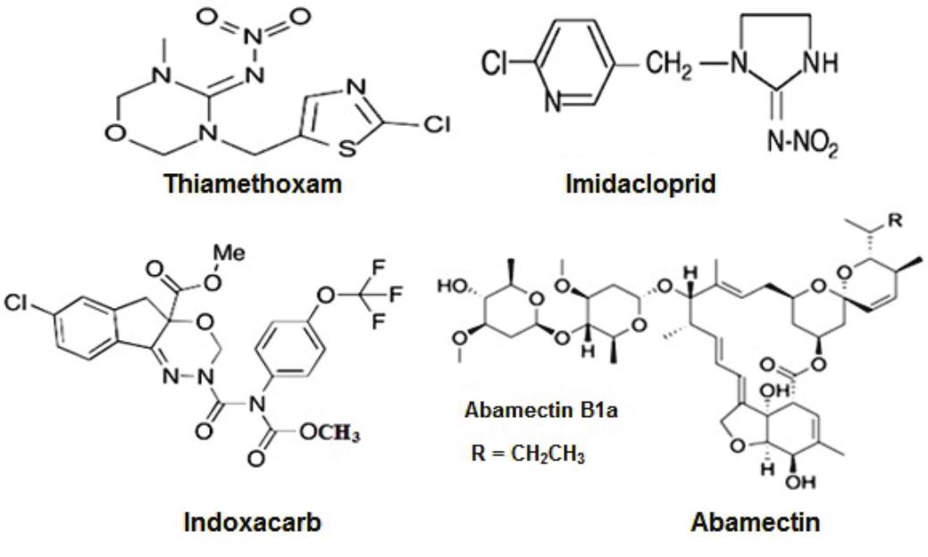 Chemical structures of the studied insecticides studies have