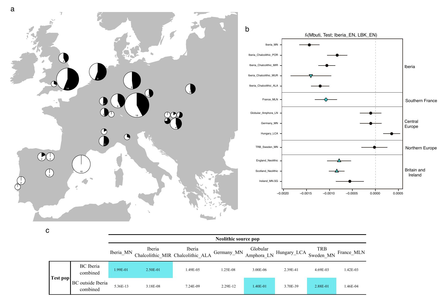 Investigating the genetic makeup of beaker complex