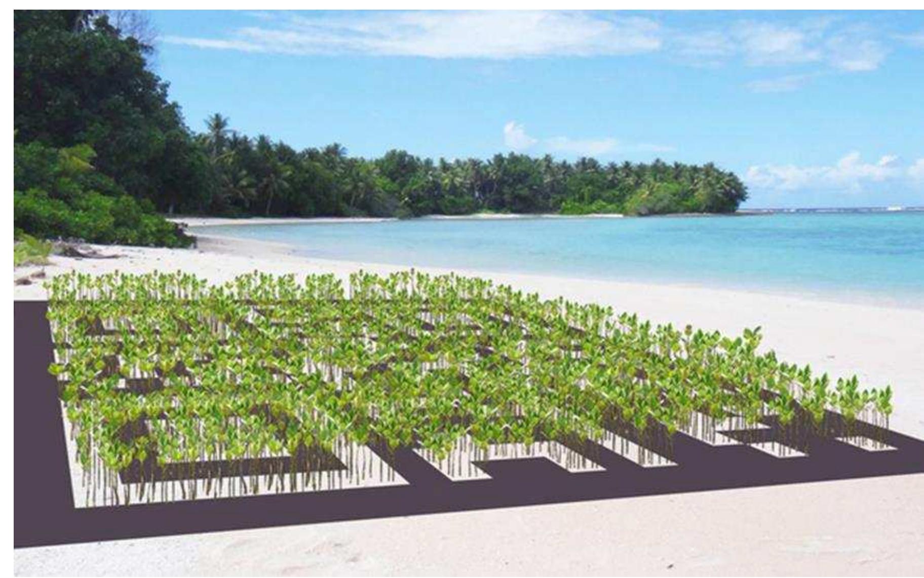 Artist impression of art mangrove, vincent huang, tuvalu,