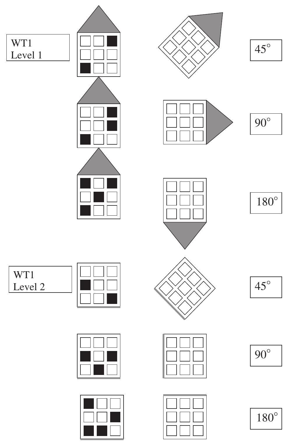 Figure 1 - from Dynamic Assessment of Spatial Abilities of