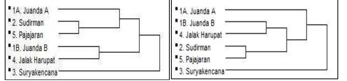 Hierarchical clustering diagrams of building character