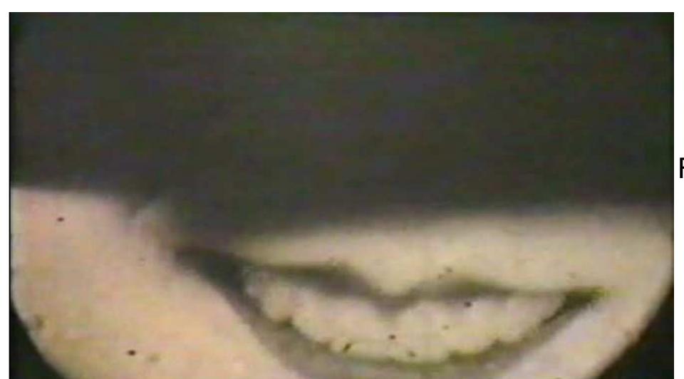 Figure 13 - Alexandre Alexeïeff, Claire Parker and the