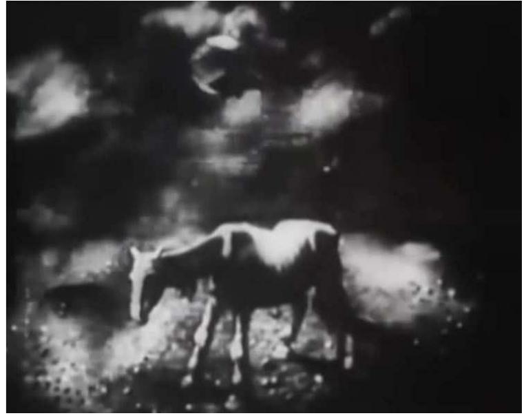 Figure 14 - Alexandre Alexeïeff, Claire Parker and the