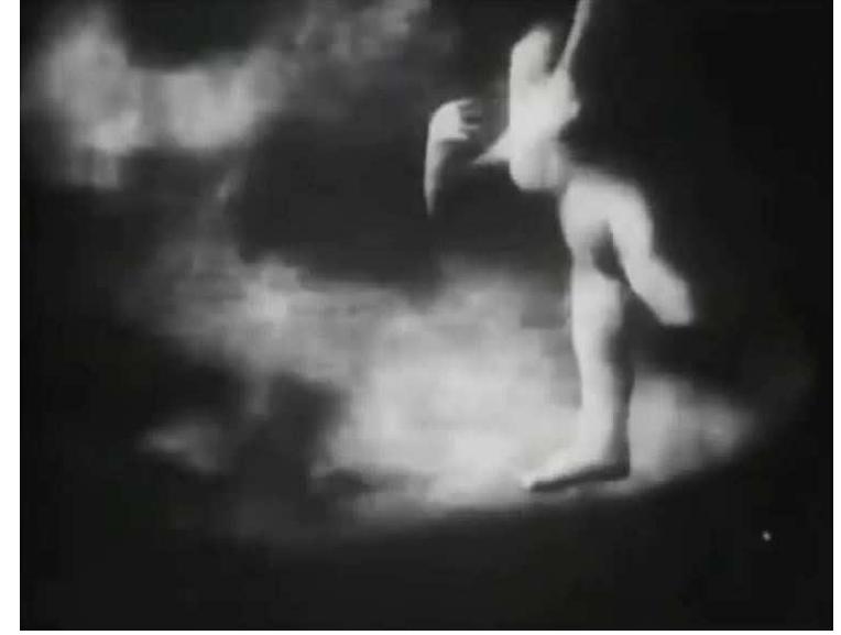 Figure 15 - Alexandre Alexeïeff, Claire Parker and the