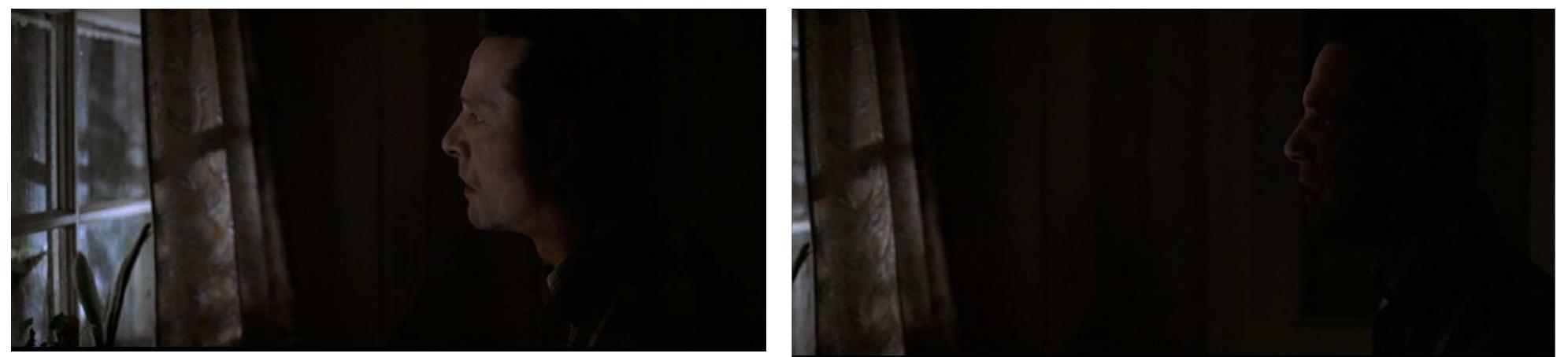 ¢ illustration 14 : from shadow to light, light to shadow