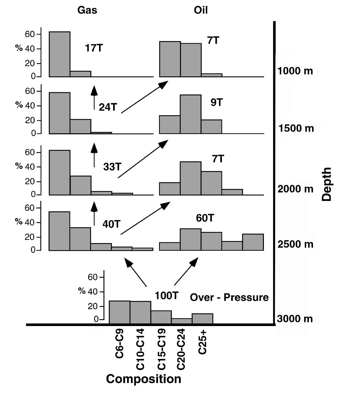 (PDF) Migration of Petroleum