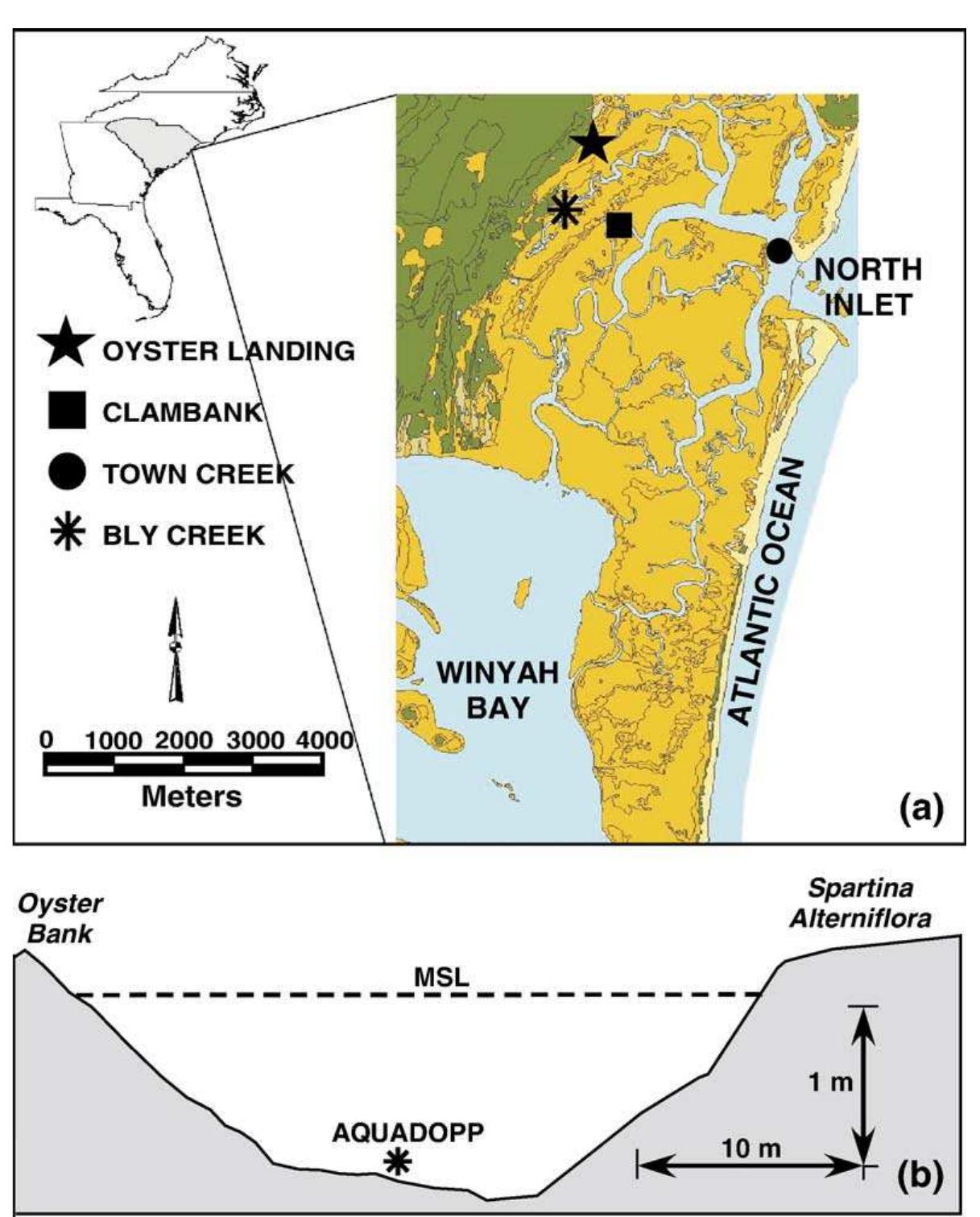 (a) map of north inlet, sc showing the three stations