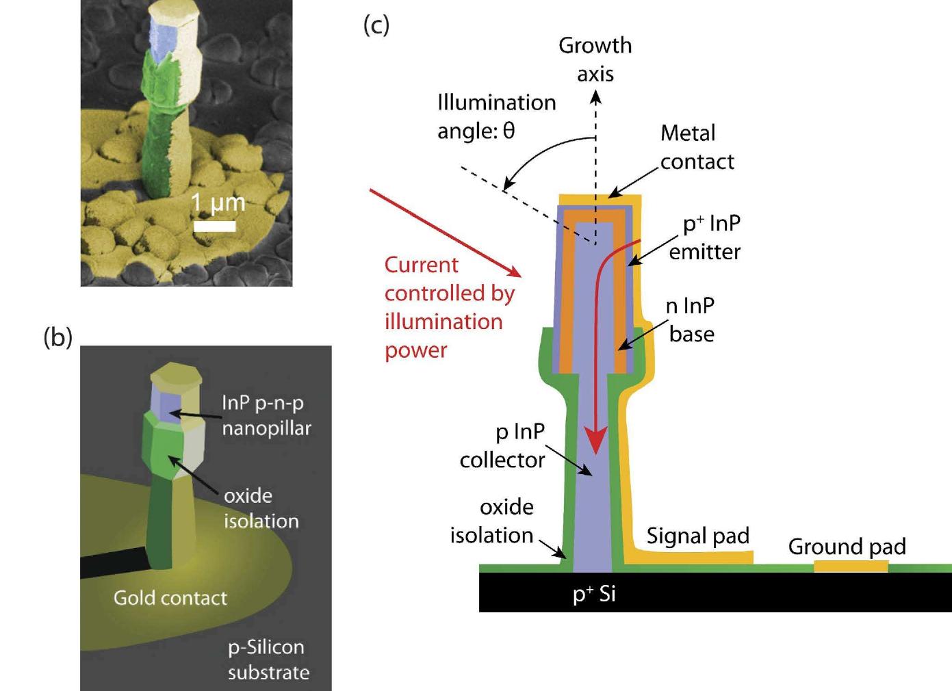 Device geometry. scanning electron microscope image (a) and