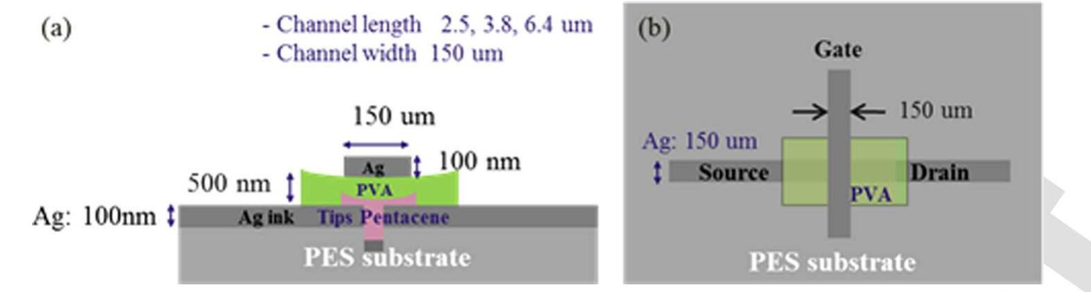 Fic. 4. (color online) schematic structure of top gate otft.