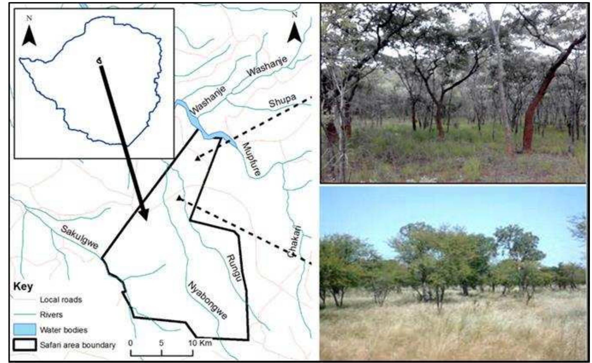 Location of chegutu safari area, zimbabwe. the insert shows