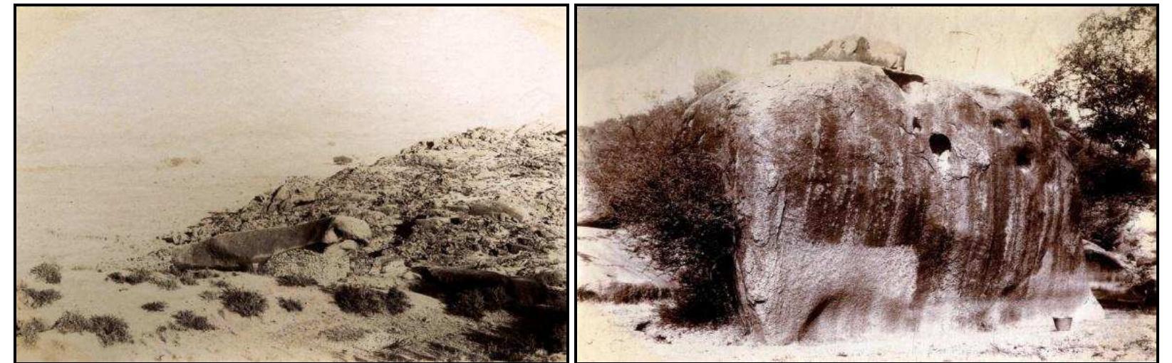 (PDF) Text and Context: Understanding the Ashokan Inscriptions and the ...