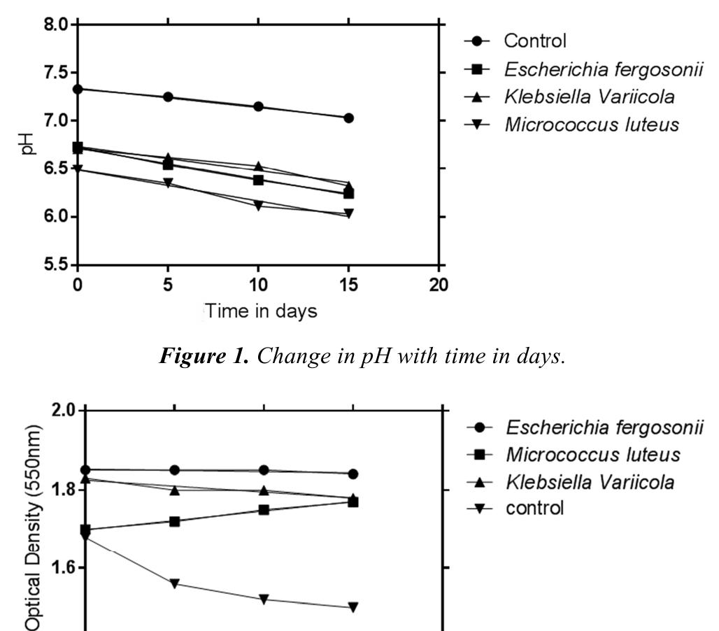 With 5 loopful of the isolated and incubated at 30°c for