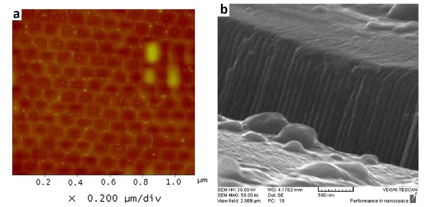 Close-packed structure of aao template (a) top-view afm