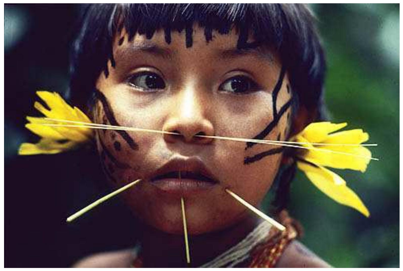 (PDF) Indigenous Culture in the Amazon Case Study: Yanomami and the ...