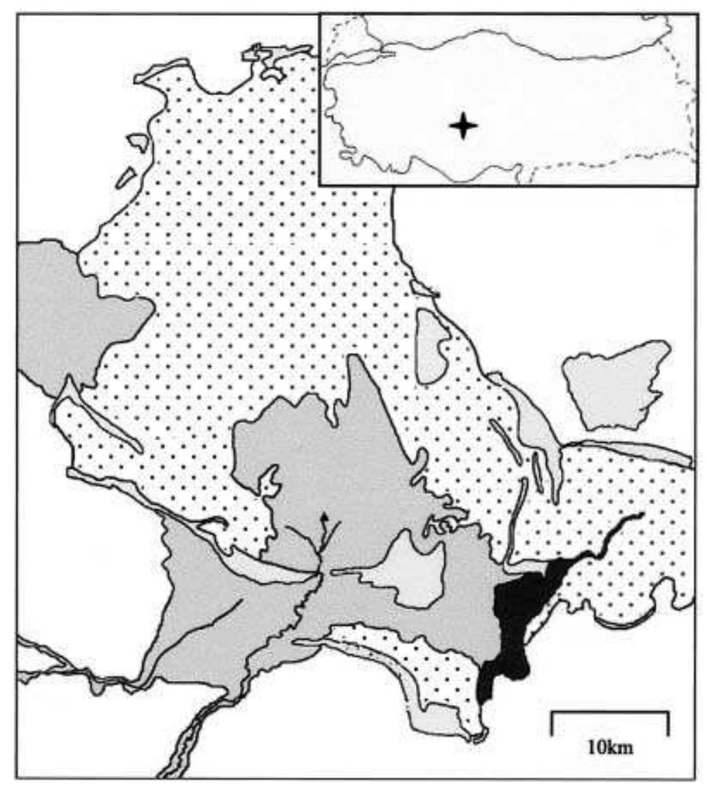 Figure 1 - Macro-botanical evidence for plant use at