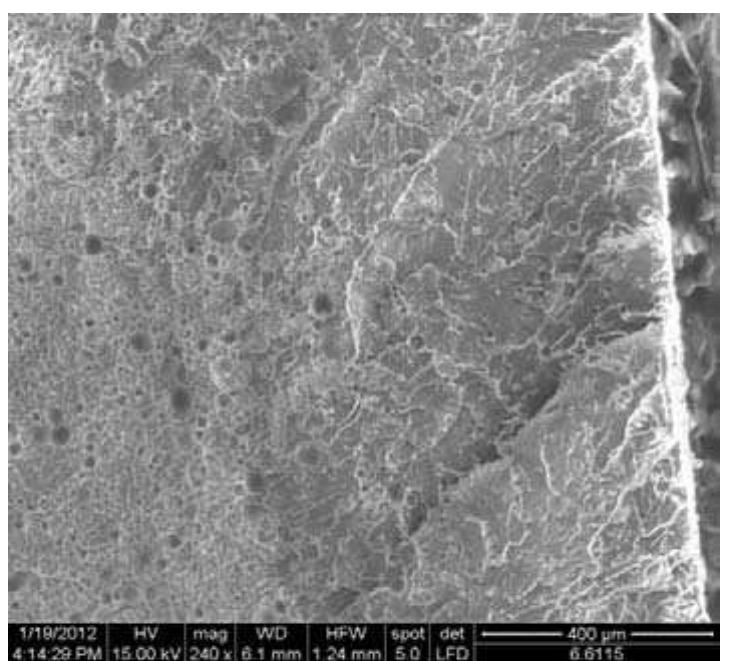 The glass beads as compared to pbt. analyzing the sem images