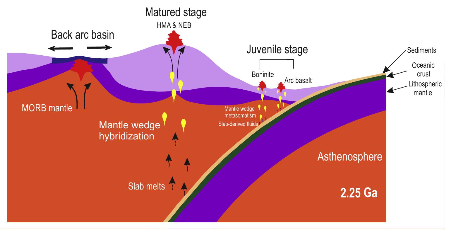 Schematic tectonic model explaining the genesis of