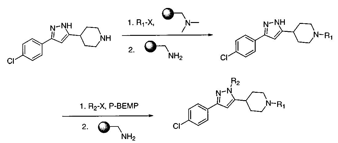Nitrogen alkylation using polymer-supported bases.