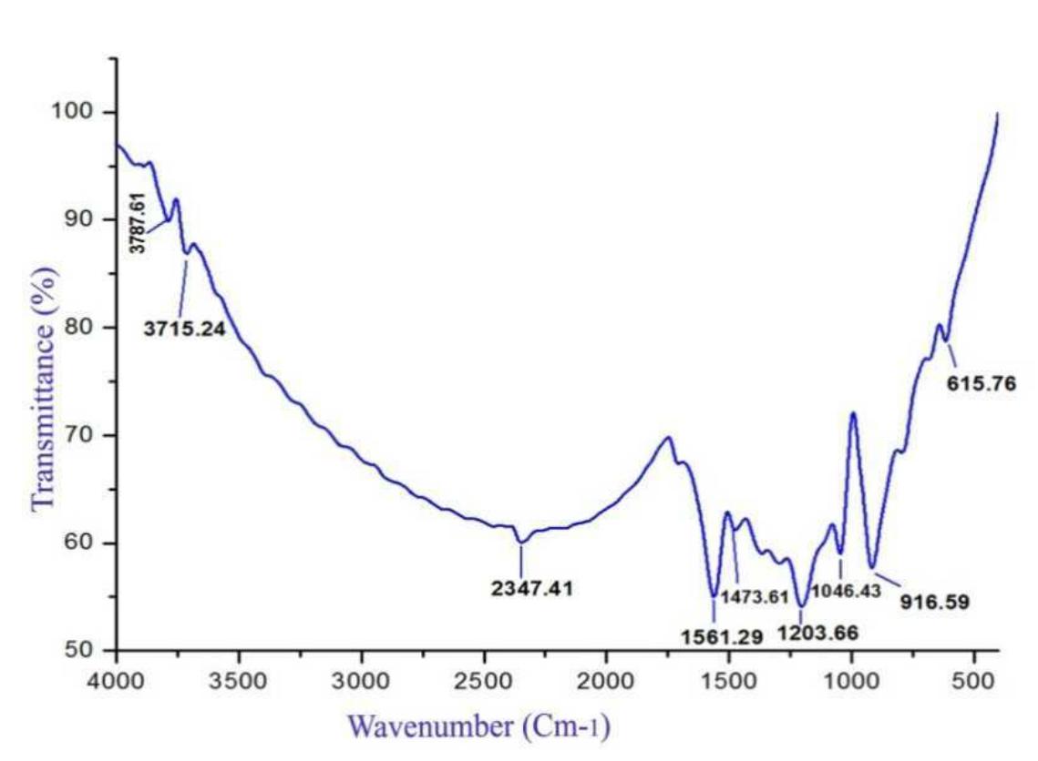 3.1. ftir spectroscopy analysis the ftir spectra of ppy