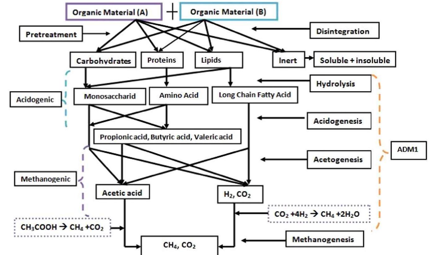 Conversion pathway of organic material during anaerobic