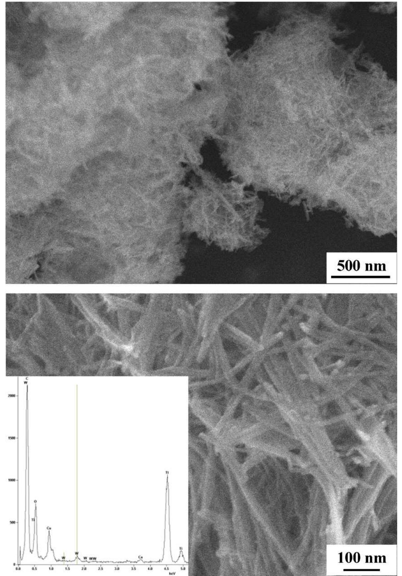 Sem images and eds spectra of the tint-wo3 4 wt.%
