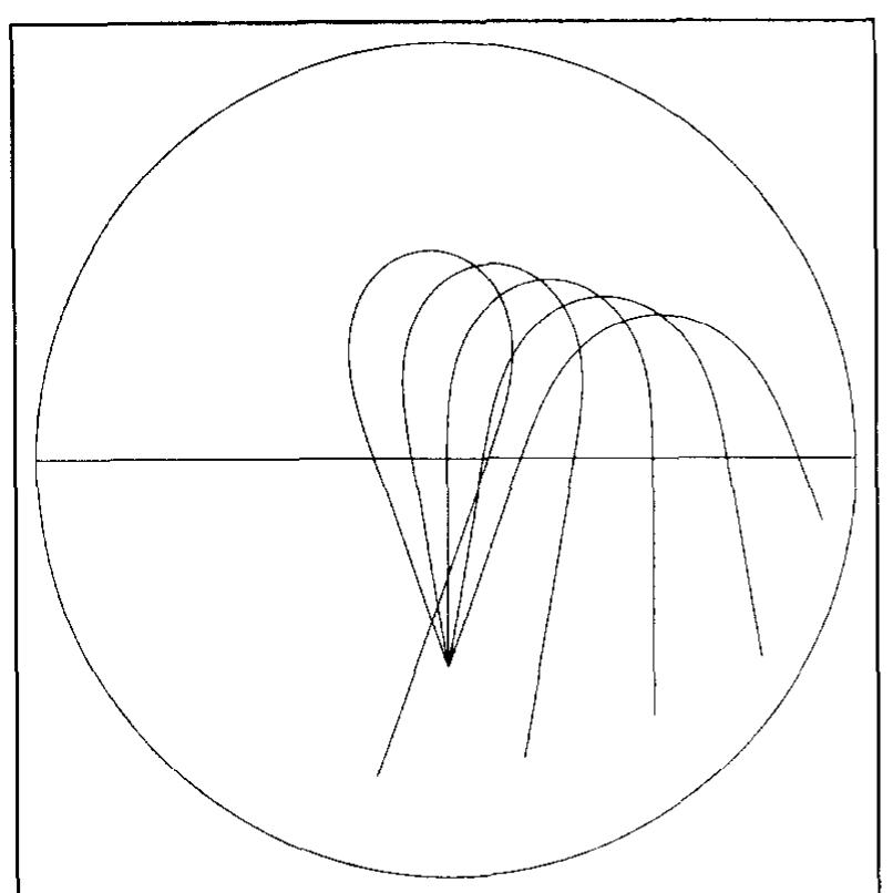 Diagram showing the trajectories of the point-vortex model