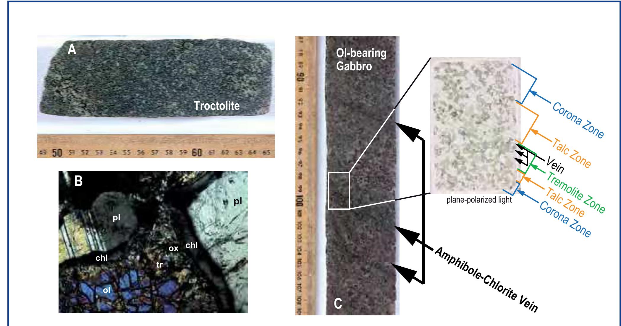 Most common alteration patterns. [a] corona mesh texture in