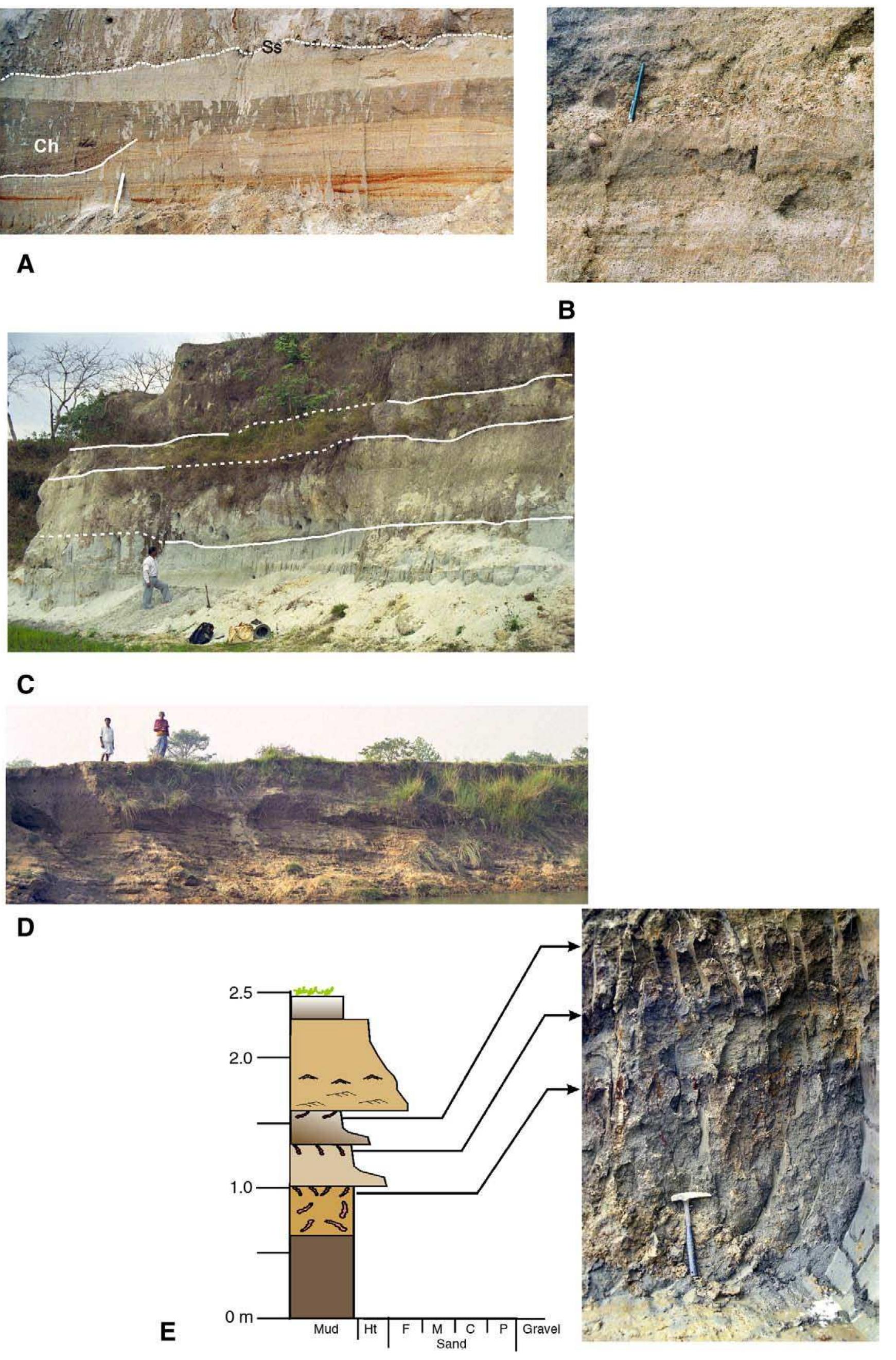 Sedimentary features of tista megafan. a. horizontal strata