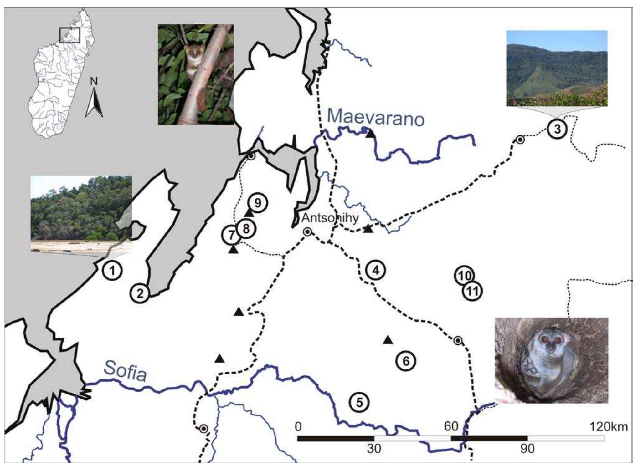 Map of northwestern madagascar showing our study sites