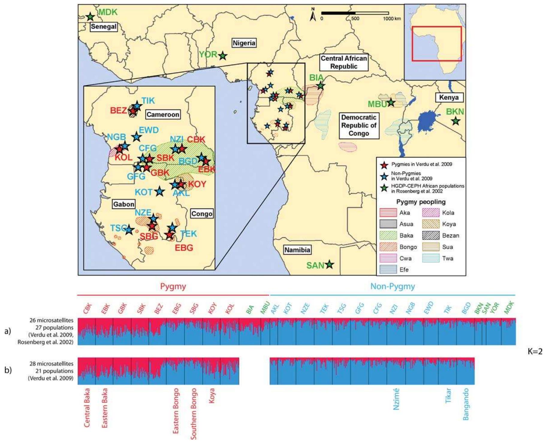 Genetic structure of african populations. map showing the