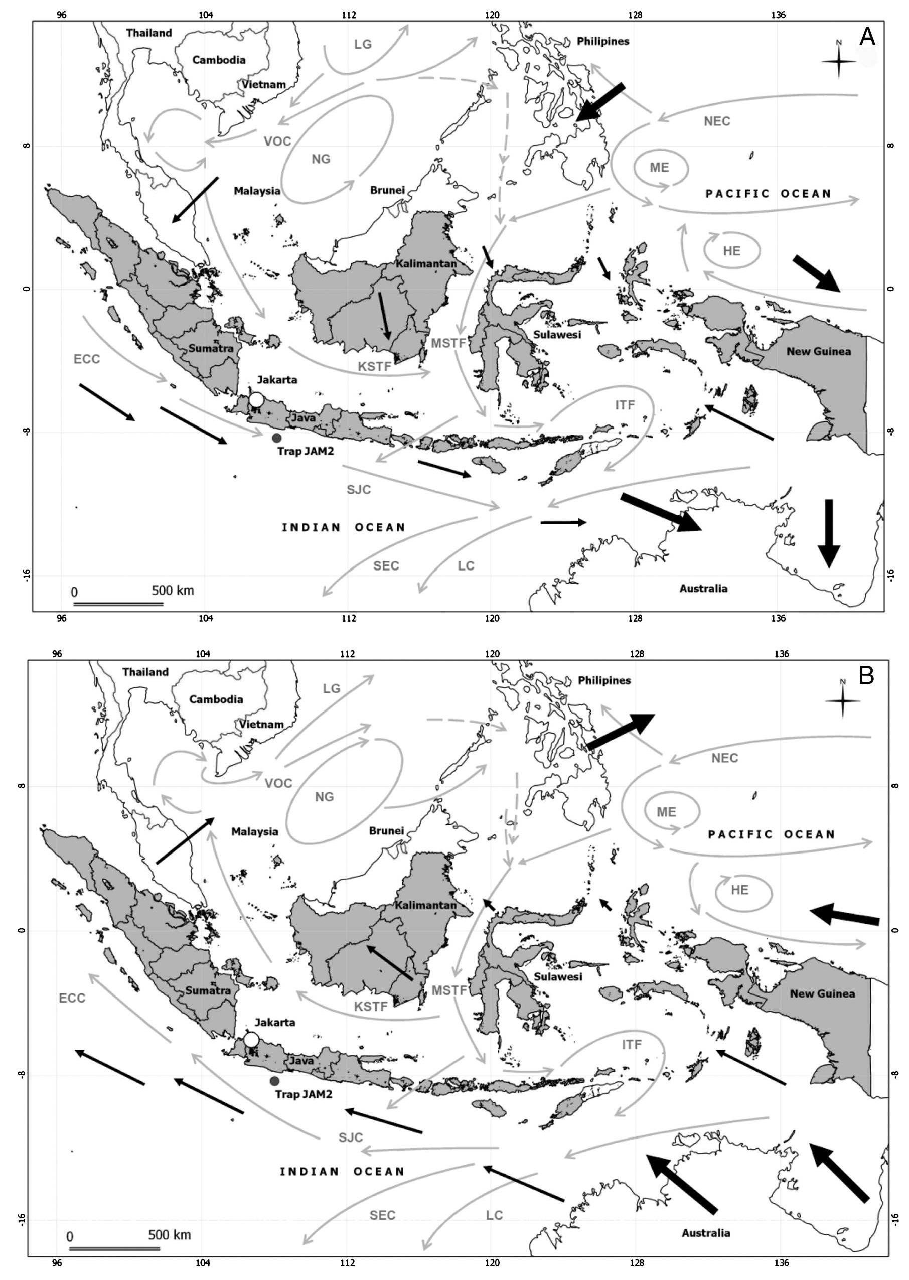 Schematic map showing main oceanic currents and winds in the