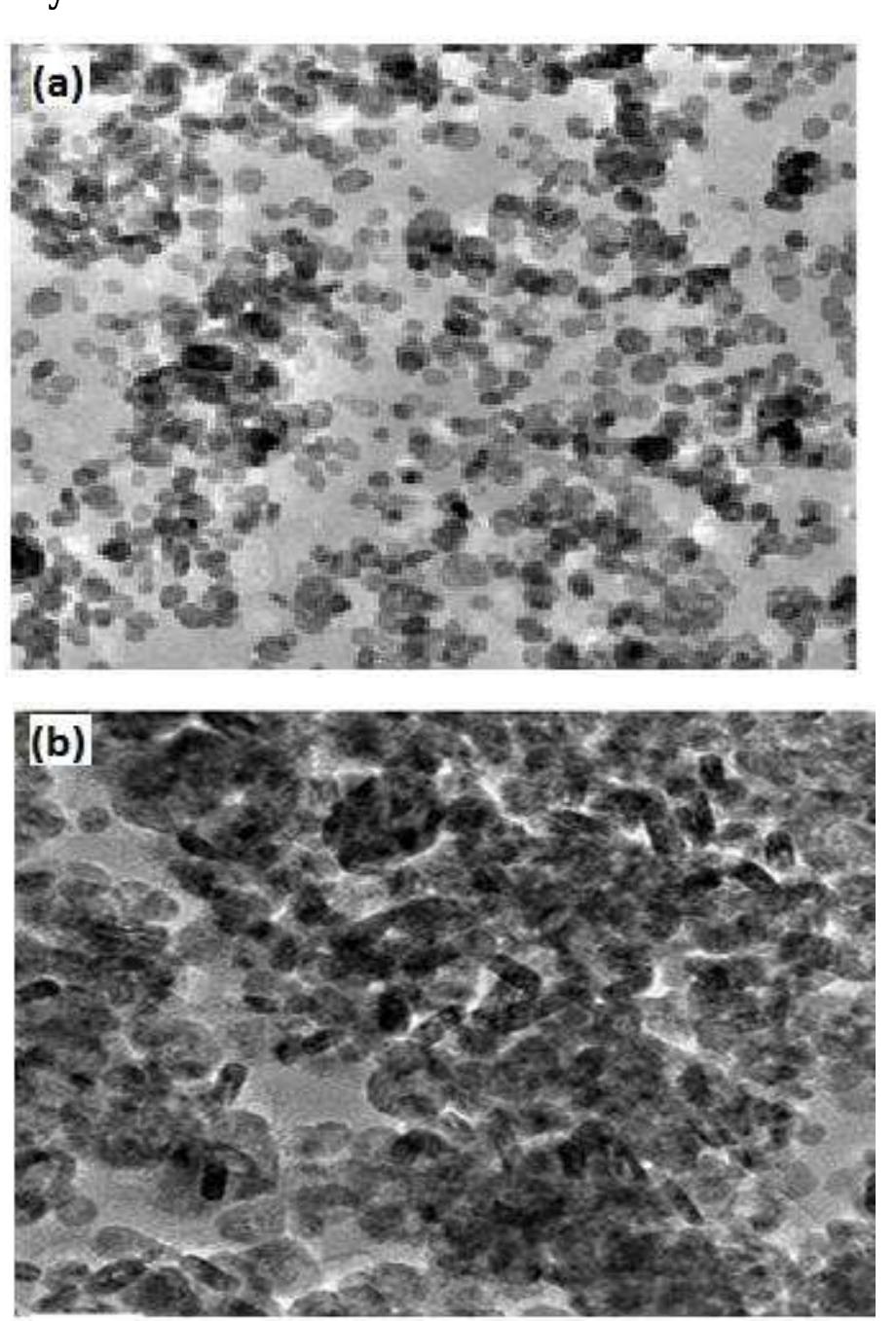 (a) and 5(b) tem images of la2o3 nanoparticles synthesized