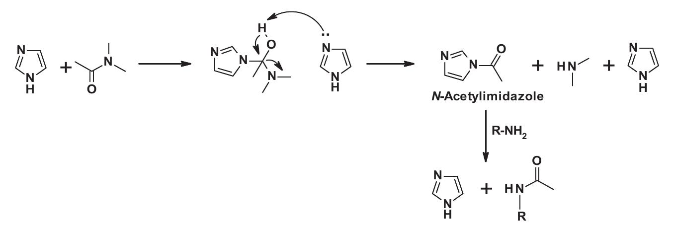 A proposed mechanism of n-acetylation of amines from dmac