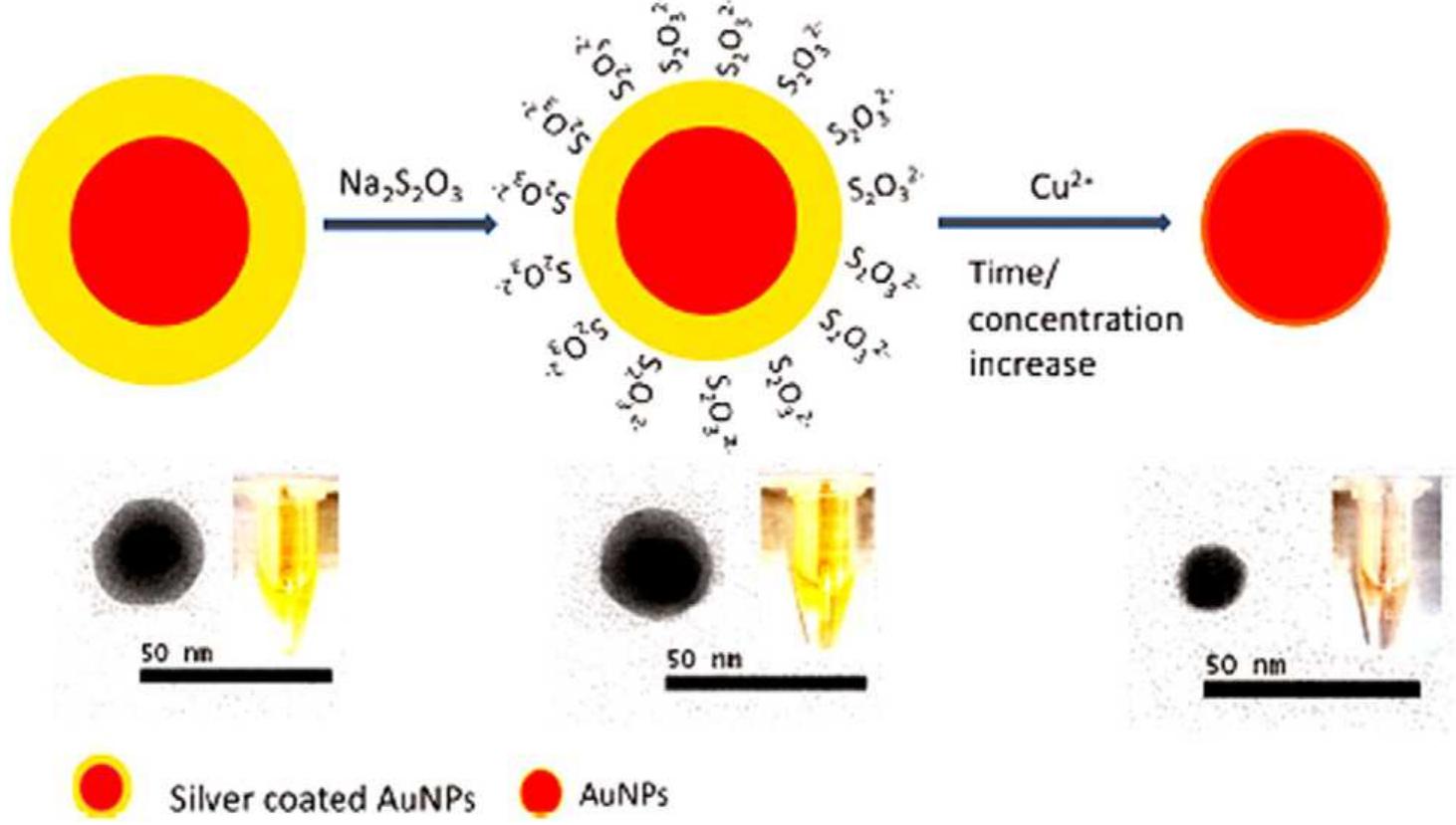 Schematic representation of sensing mechanism of the
