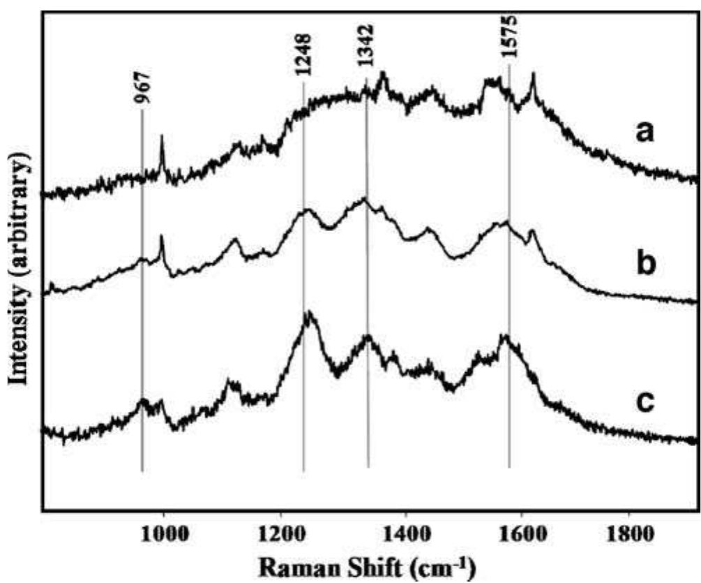 Enhanced view of the raman spectra of liquid blood (a),
