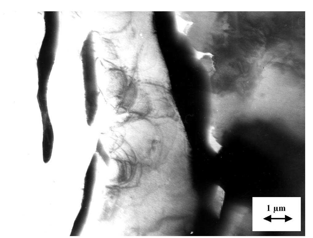 Pearlite lamellar and dislocation substructure in a fully