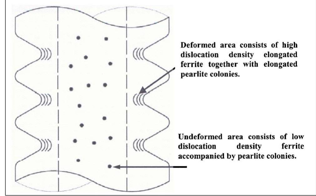 Schematic representation of composite structure of a thread